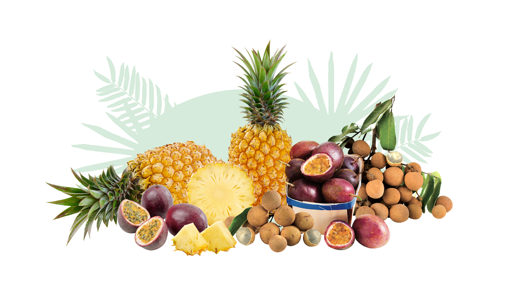 Colipays - Plus qu'un colis, tout un pays.